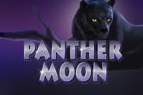 Ігровий автомат Playtech Panther Moon грати онлайн безкоштовно